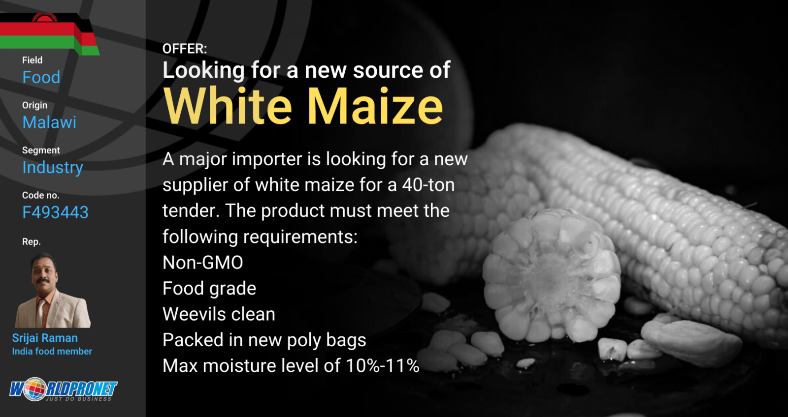 White maize - B2B Global Platform