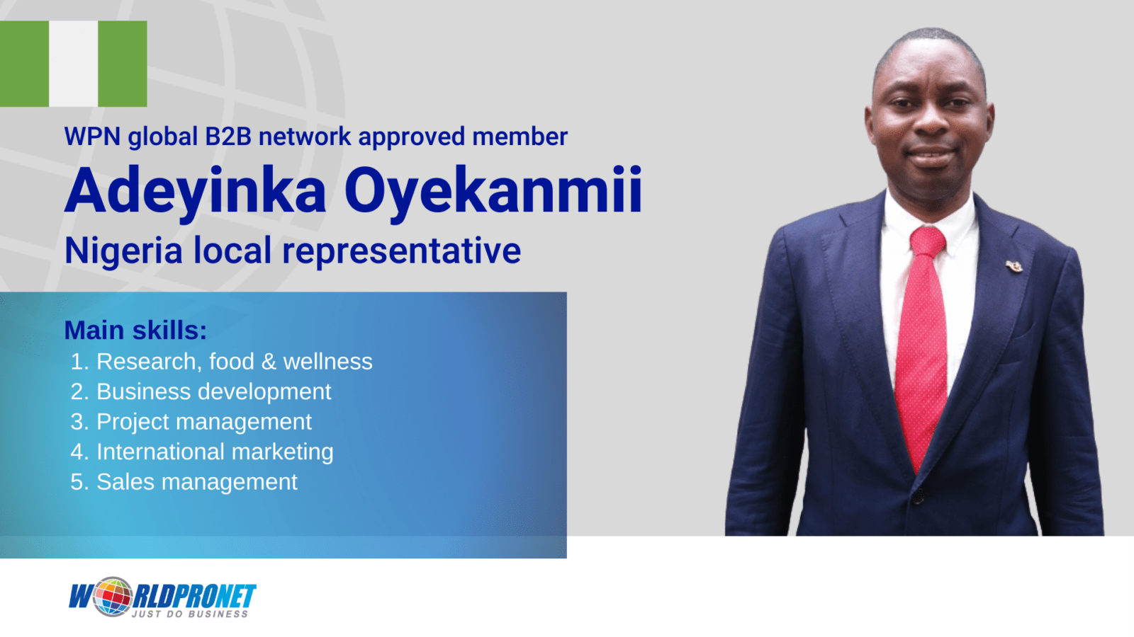 Adeyinka Oyekanmi - Global Professional B2B Platform