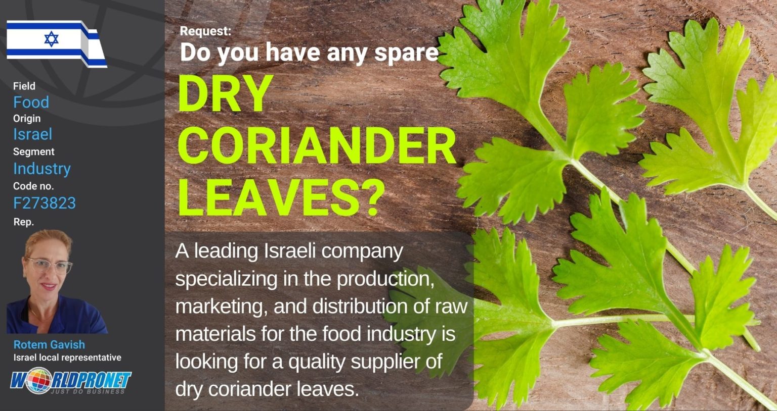 Dry coriander leaves - Global Professional B2B Platform