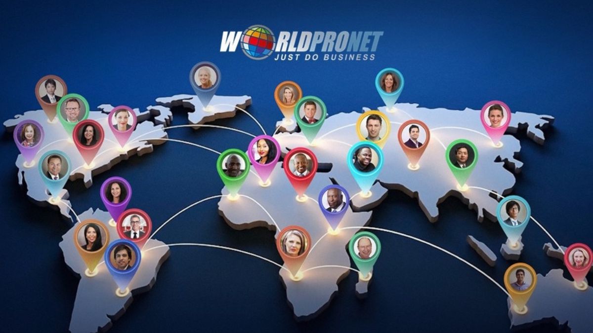 Insight Archive - Global Professional B2B Platform